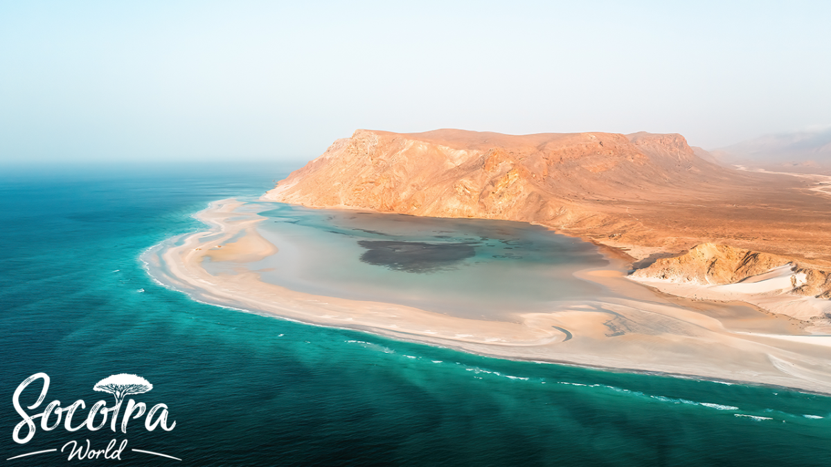 Dragon Blood of Socotra - Socotra World Travel Agency